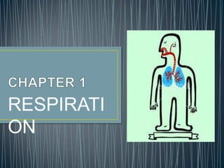 Chapter 1 Respiration | PPT