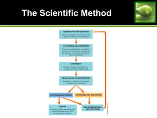 Chapter1 - An Overview of Nutrition