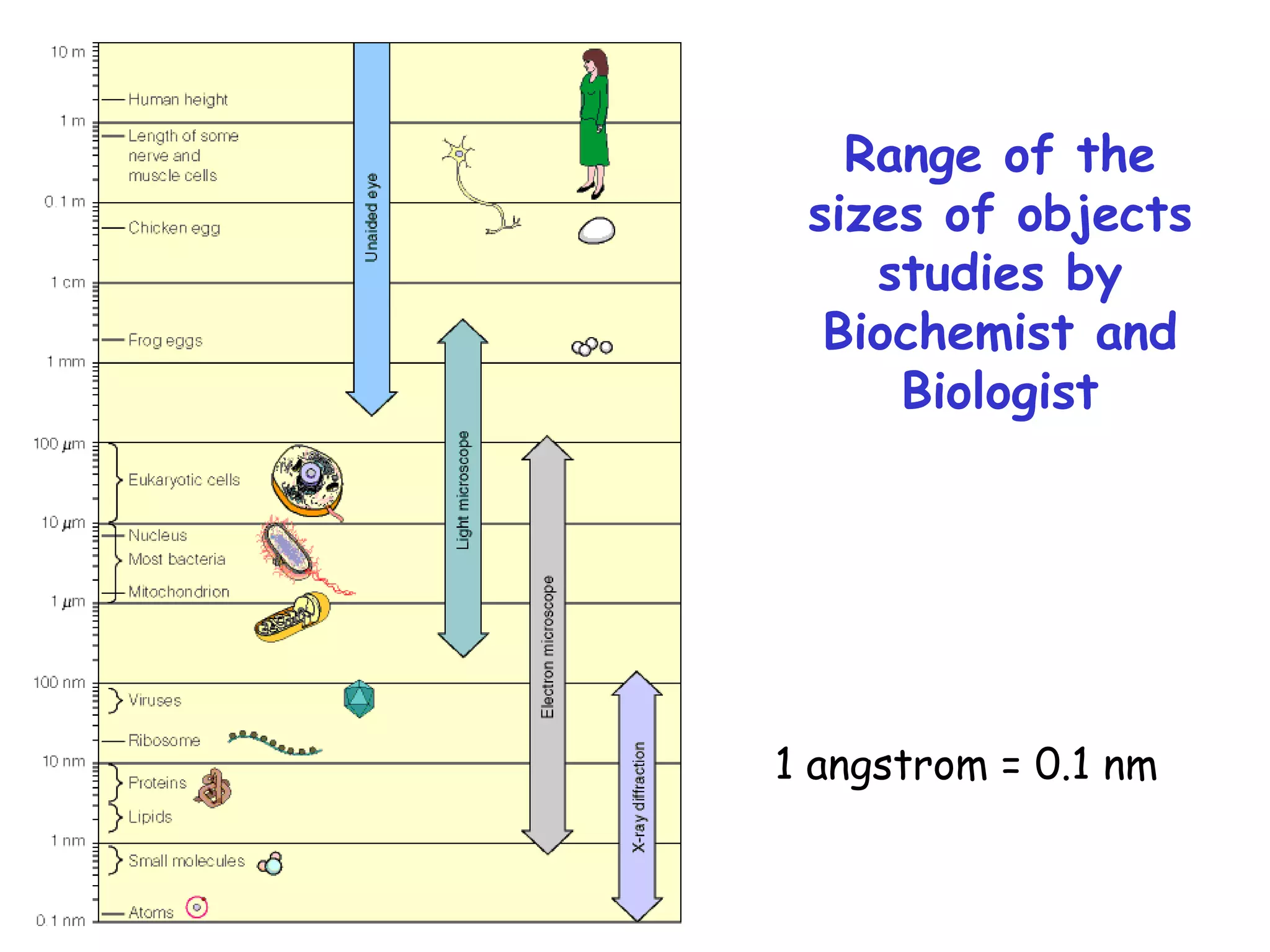 Chapter 1 - Introduction to Biochemistry (slideshare) | PPT
