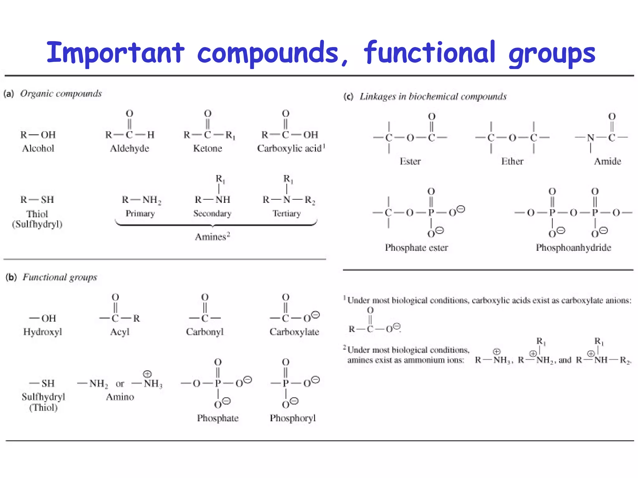 Chapter 1 - Introduction to Biochemistry (slideshare) | PPT