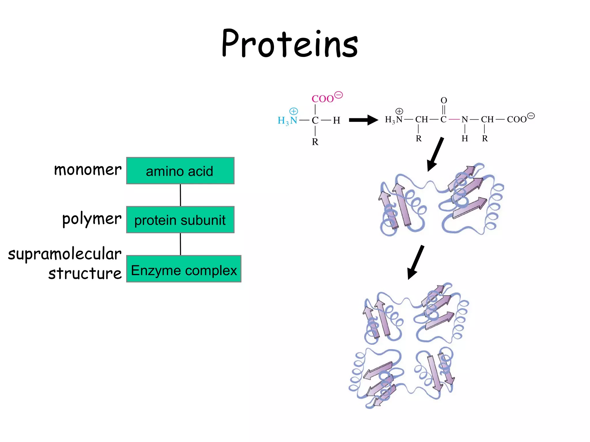 Chapter 1 - Introduction to Biochemistry (slideshare) | PPT