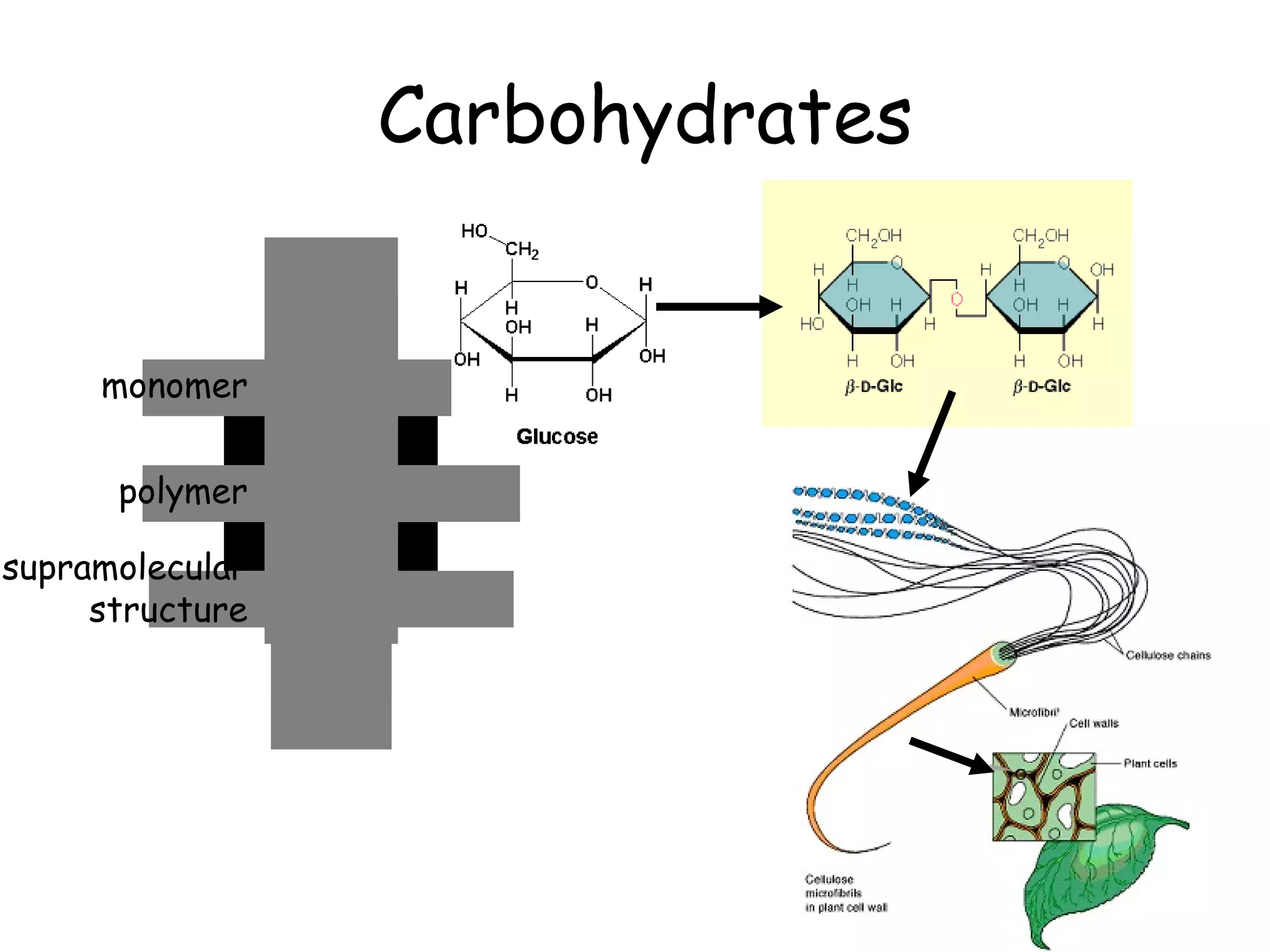 Chapter 1 - Introduction to Biochemistry (slideshare) | PPT