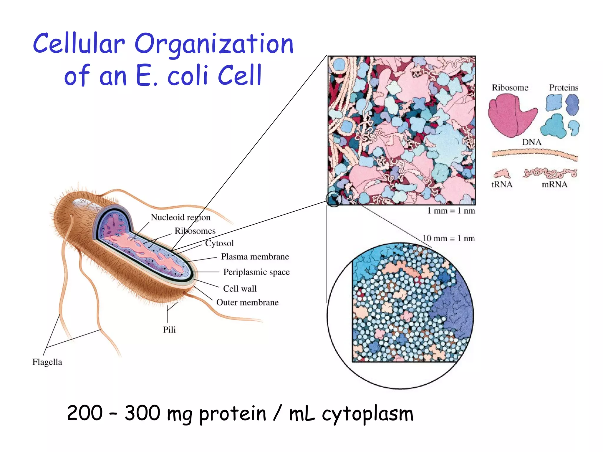 Chapter 1 - Introduction to Biochemistry (slideshare) | PPT