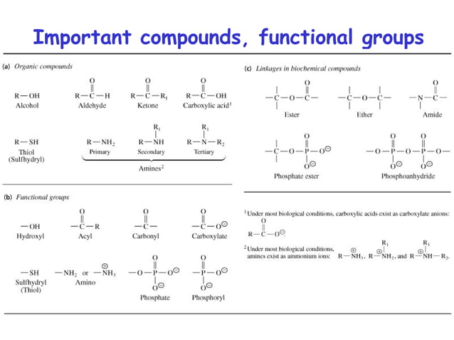 Chapter 1 - Introduction to Biochemistry (slideshare) | PPT ...