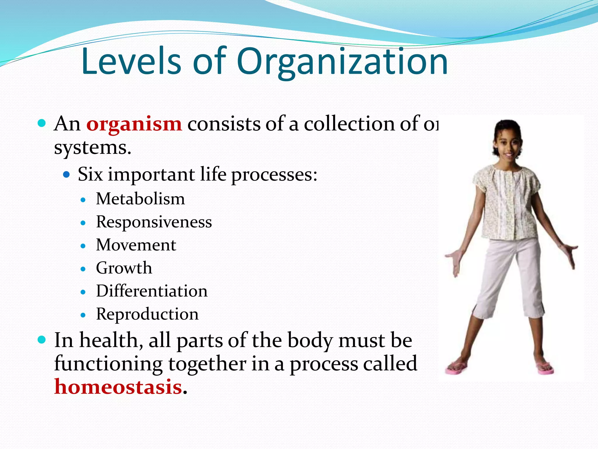 Chapter 1 Introduction to Anatomy and Physiology | PPTX