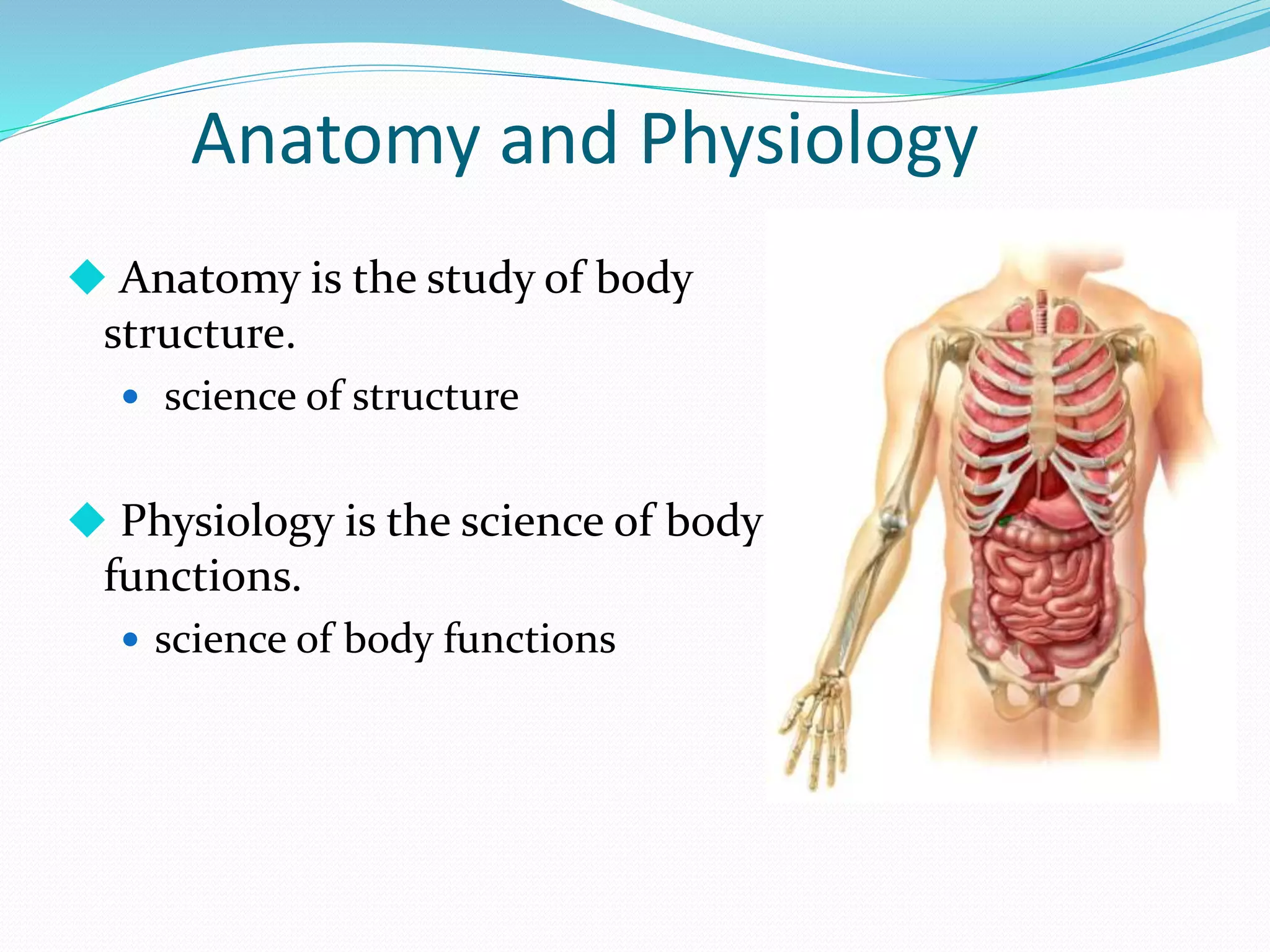 Chapter 1 Introduction to Anatomy and Physiology | PPTX