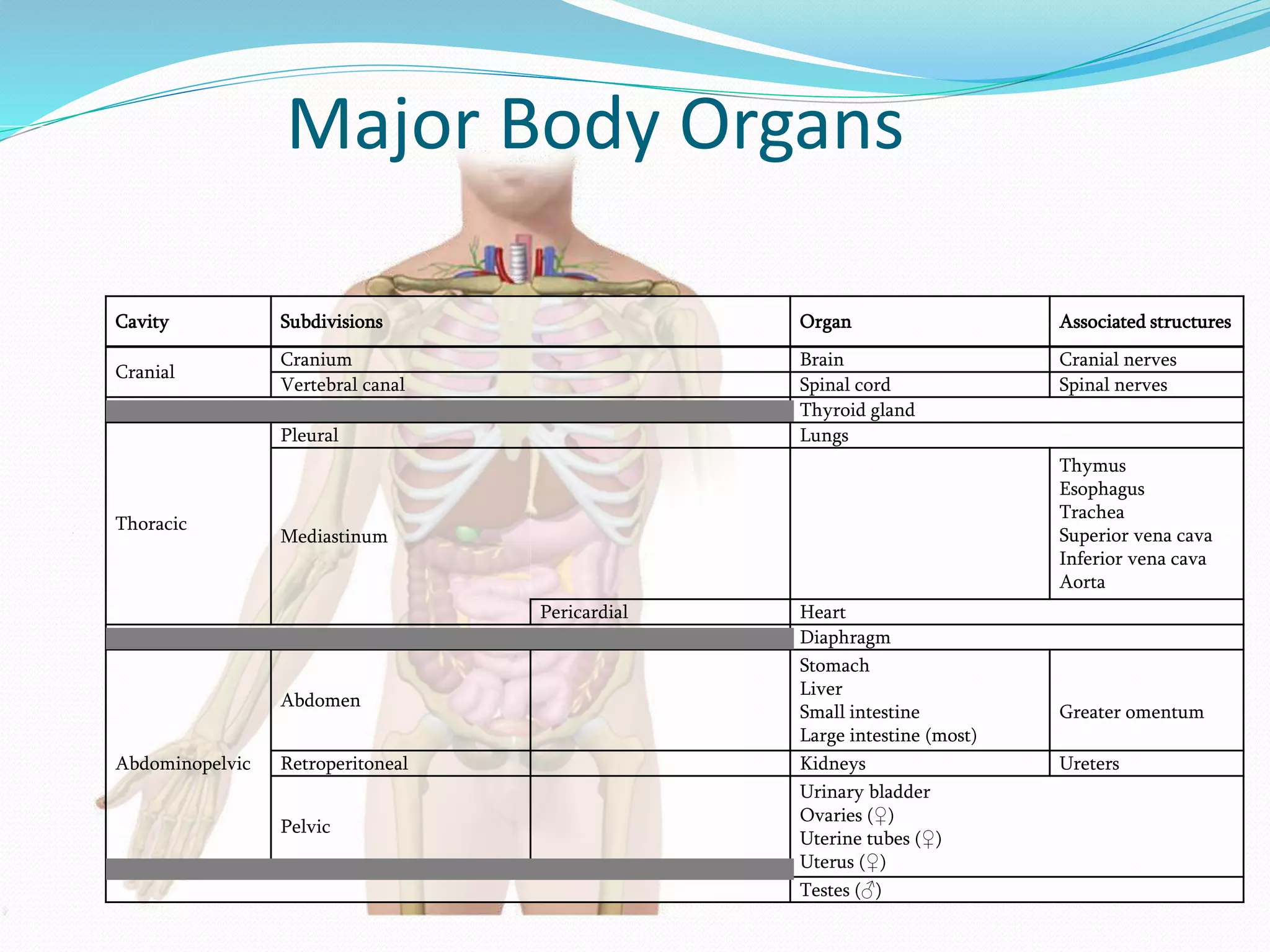 Chapter 1 Introduction to Anatomy and Physiology | PPTX
