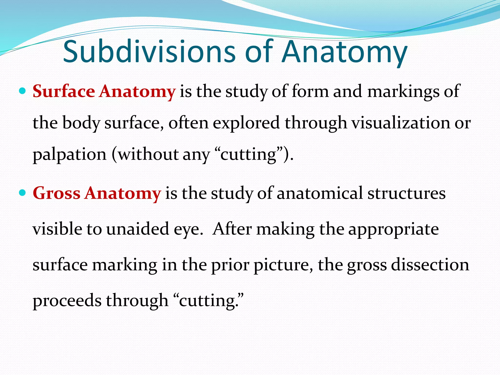 Chapter 1 Introduction to Anatomy and Physiology | PPTX