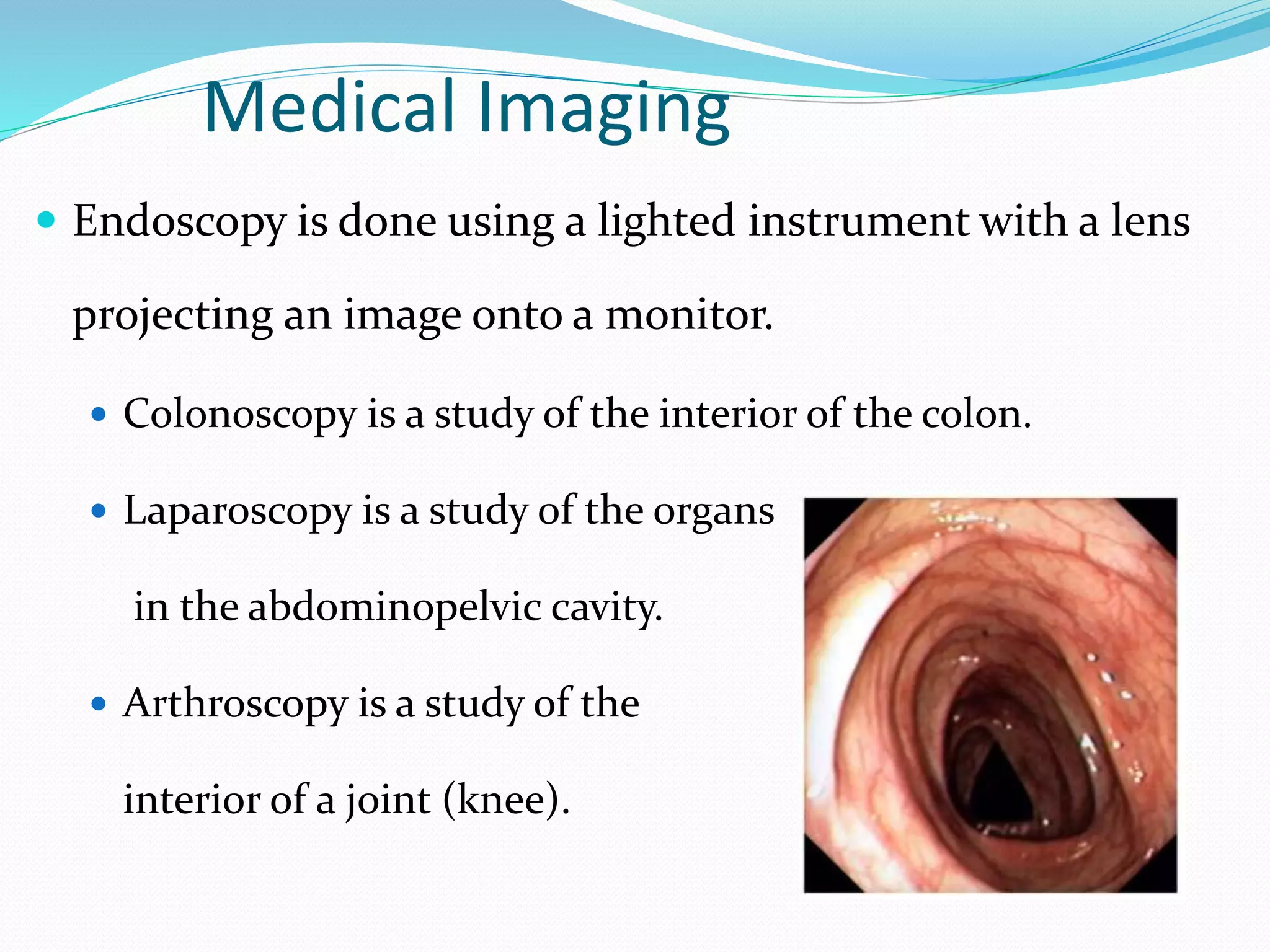 Chapter 1 Introduction to Anatomy and Physiology | PPTX