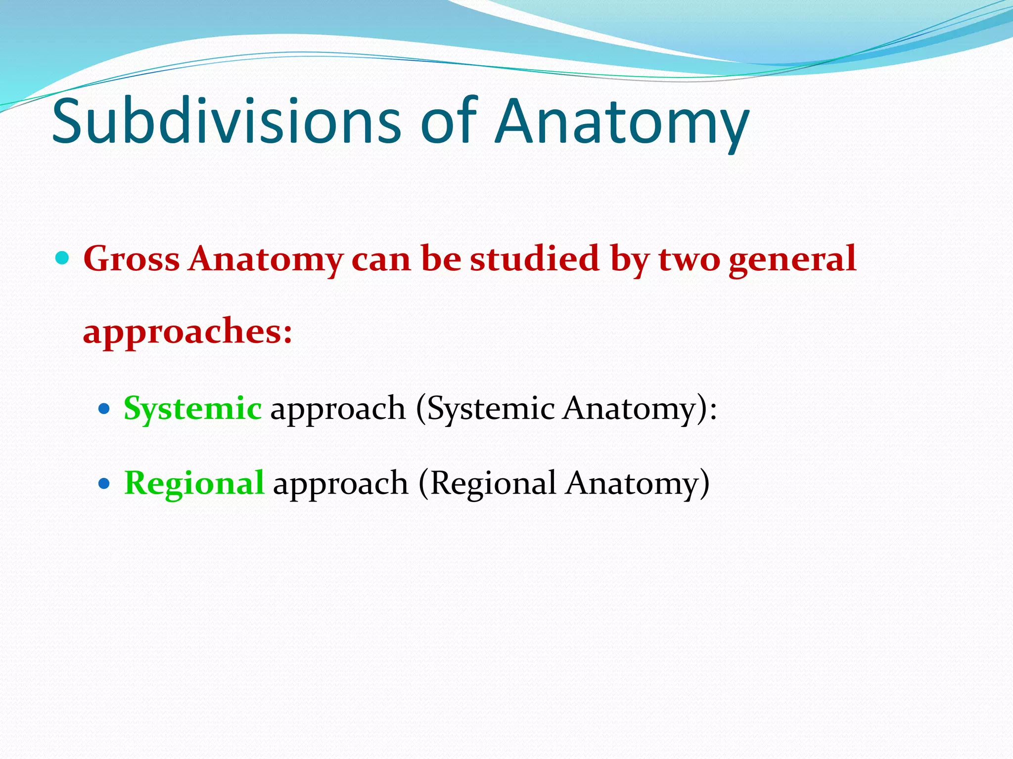 Chapter 1 Introduction to Anatomy and Physiology | PPTX