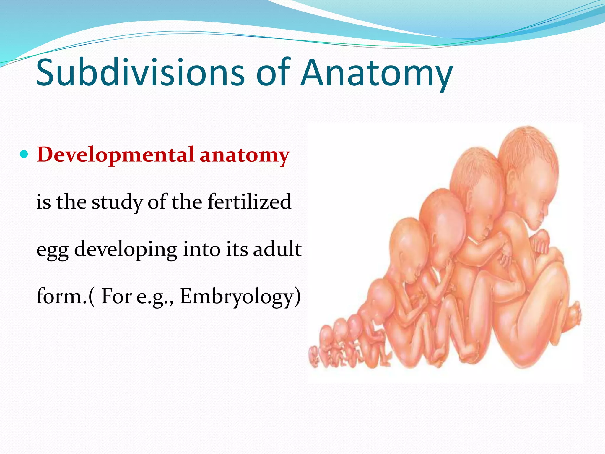 Chapter 1 Introduction to Anatomy and Physiology | PPTX