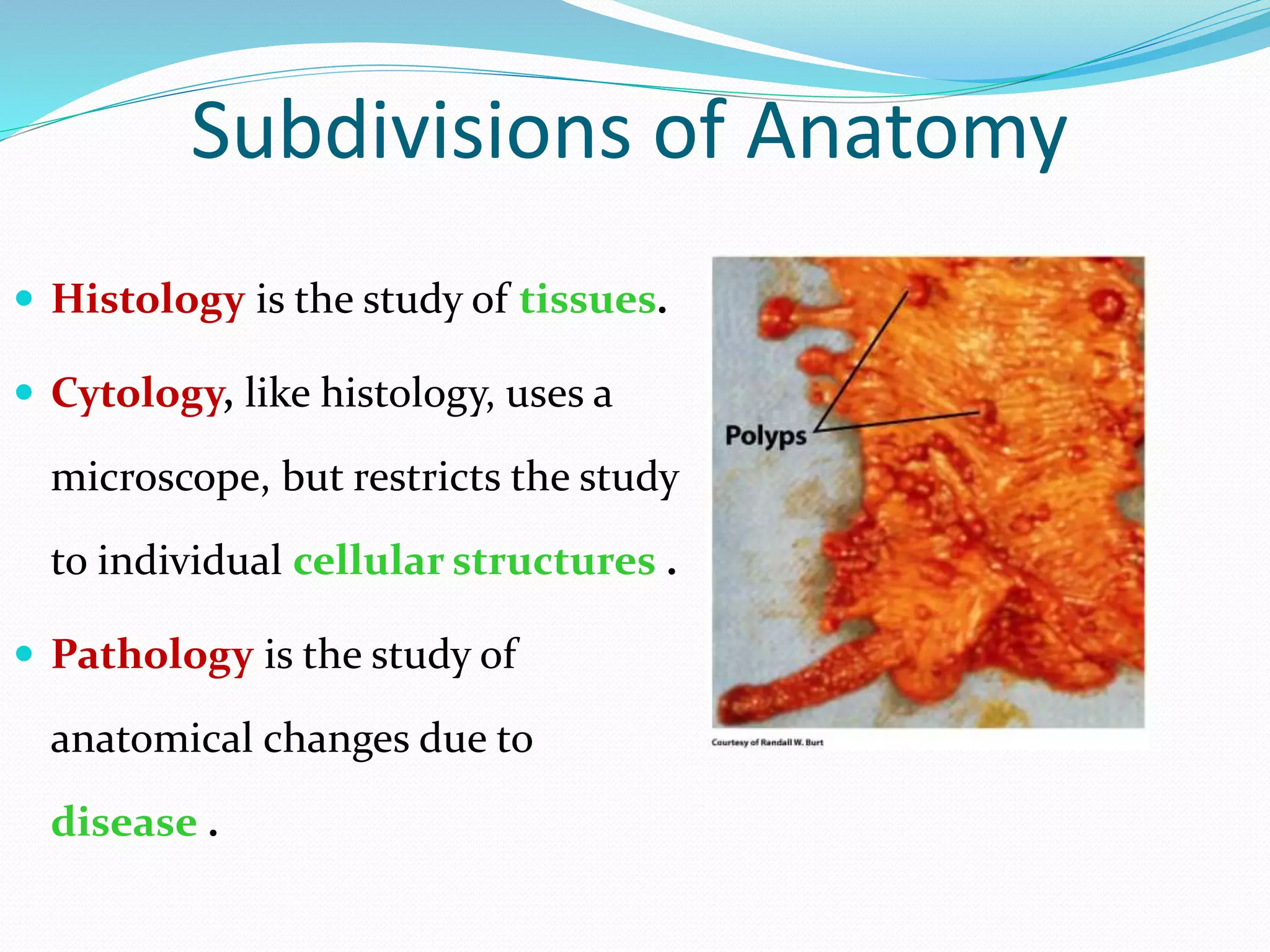 Chapter 1 Introduction to Anatomy and Physiology | PPTX