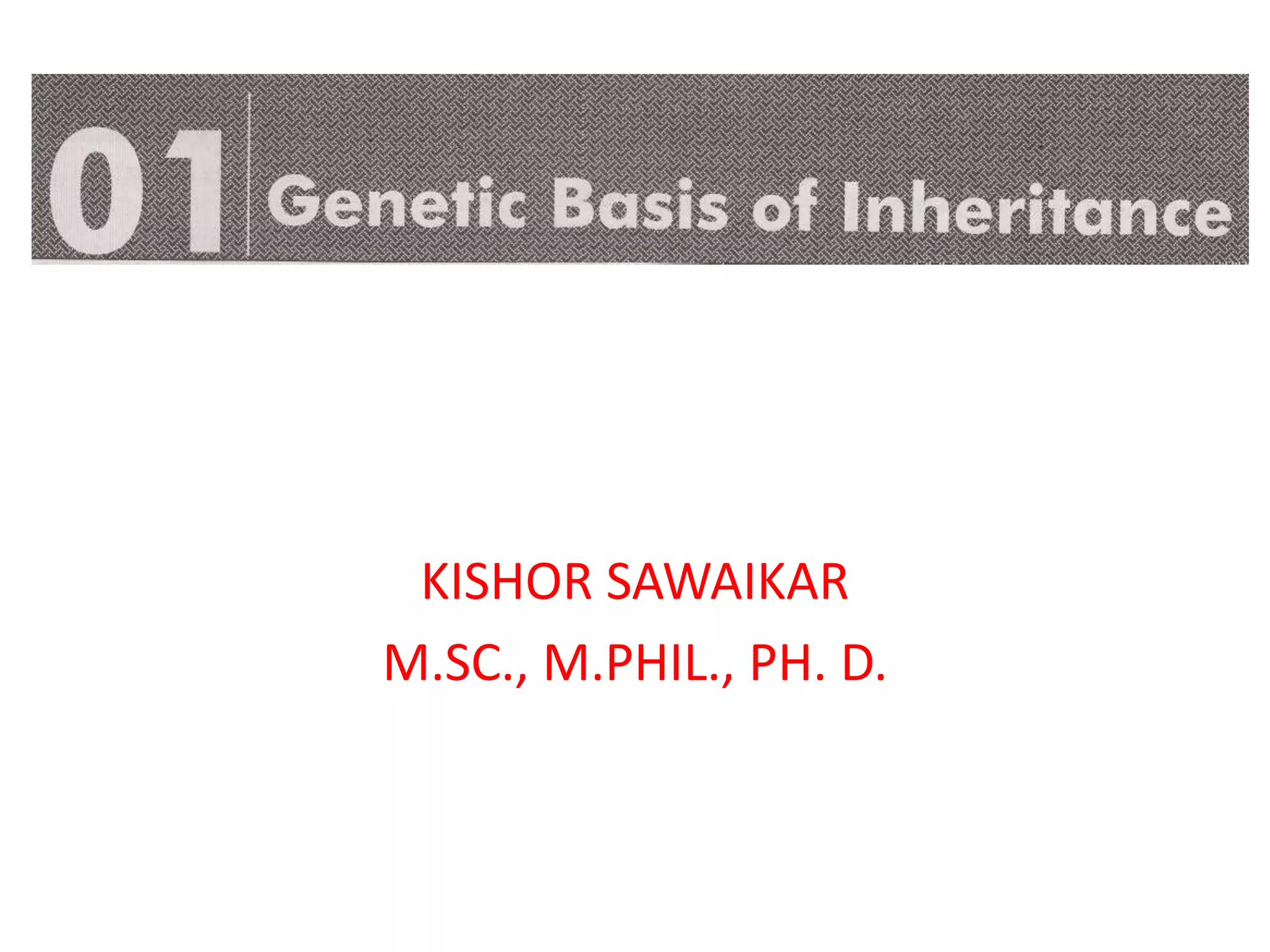 Genetic Basis of Inheritance | PPT