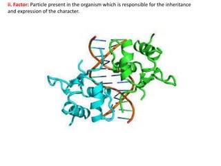 Genetic Basis of Inheritance | PPTX