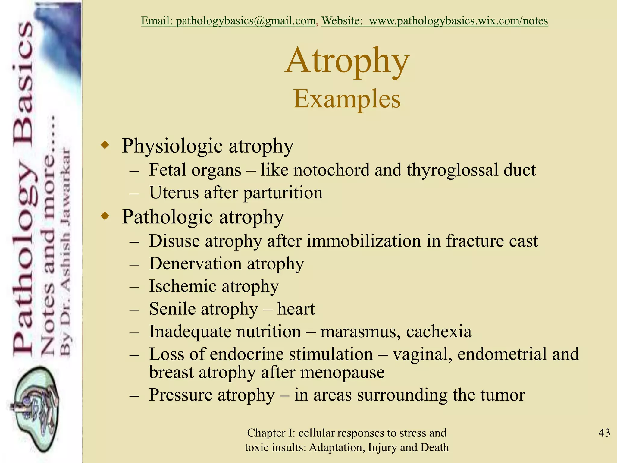 Cellular adaptations, injury and death.. Lecture 1 | PPTX