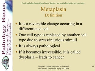 Cellular adaptations, injury and death.. Lecture 1 | PPTX