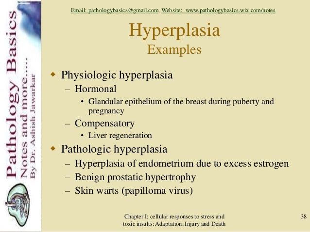 Cellular adaptations, injury and death.. Lecture 1
