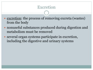 The Human Body: An Orientation | PPTX