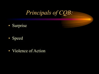 CQB 101 | PDF