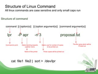 operating system | PPT | Operating Systems | Computer Software and ...