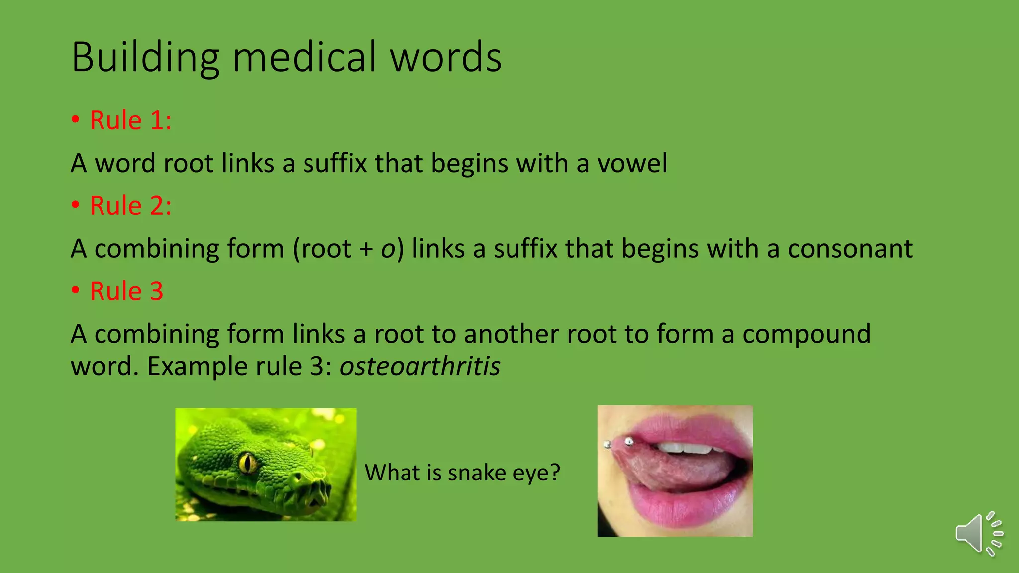 Chapter 1. presentation of medical english | PPTX