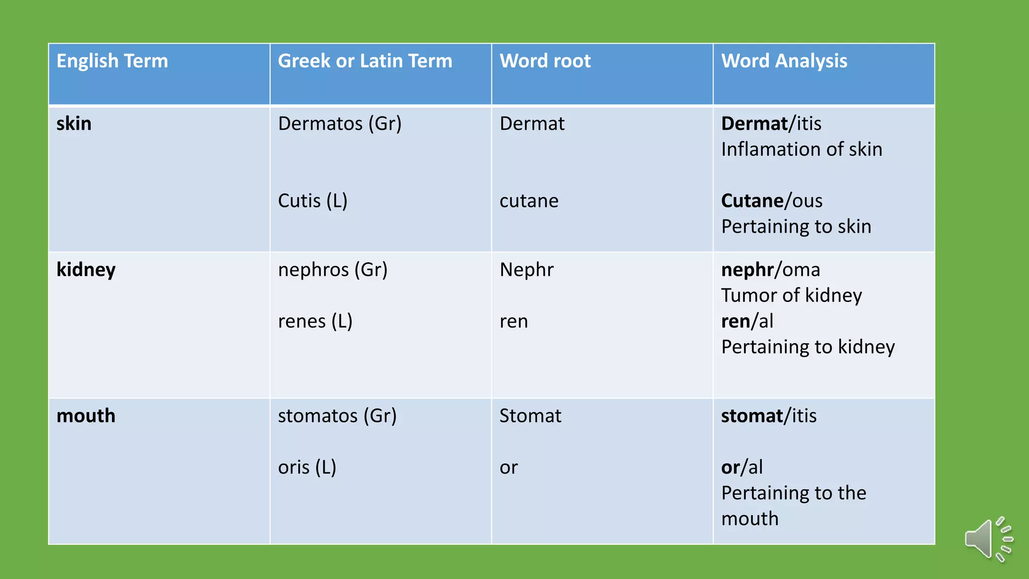 Chapter 1. presentation of medical english | PPTX