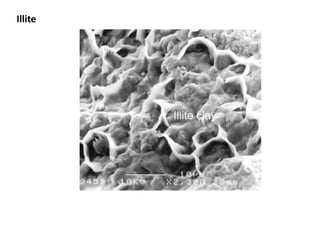 soil formation & structure | PPTX