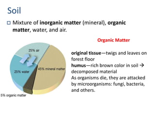 soil formation & structure | PPTX