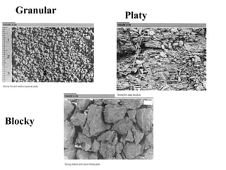 soil formation & structure | PPT