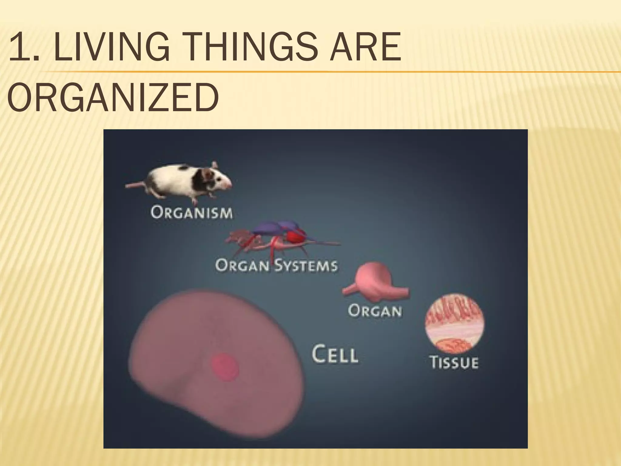 Glencoe Biology Chapter 1 Biology: The Study of Life | PPT ...