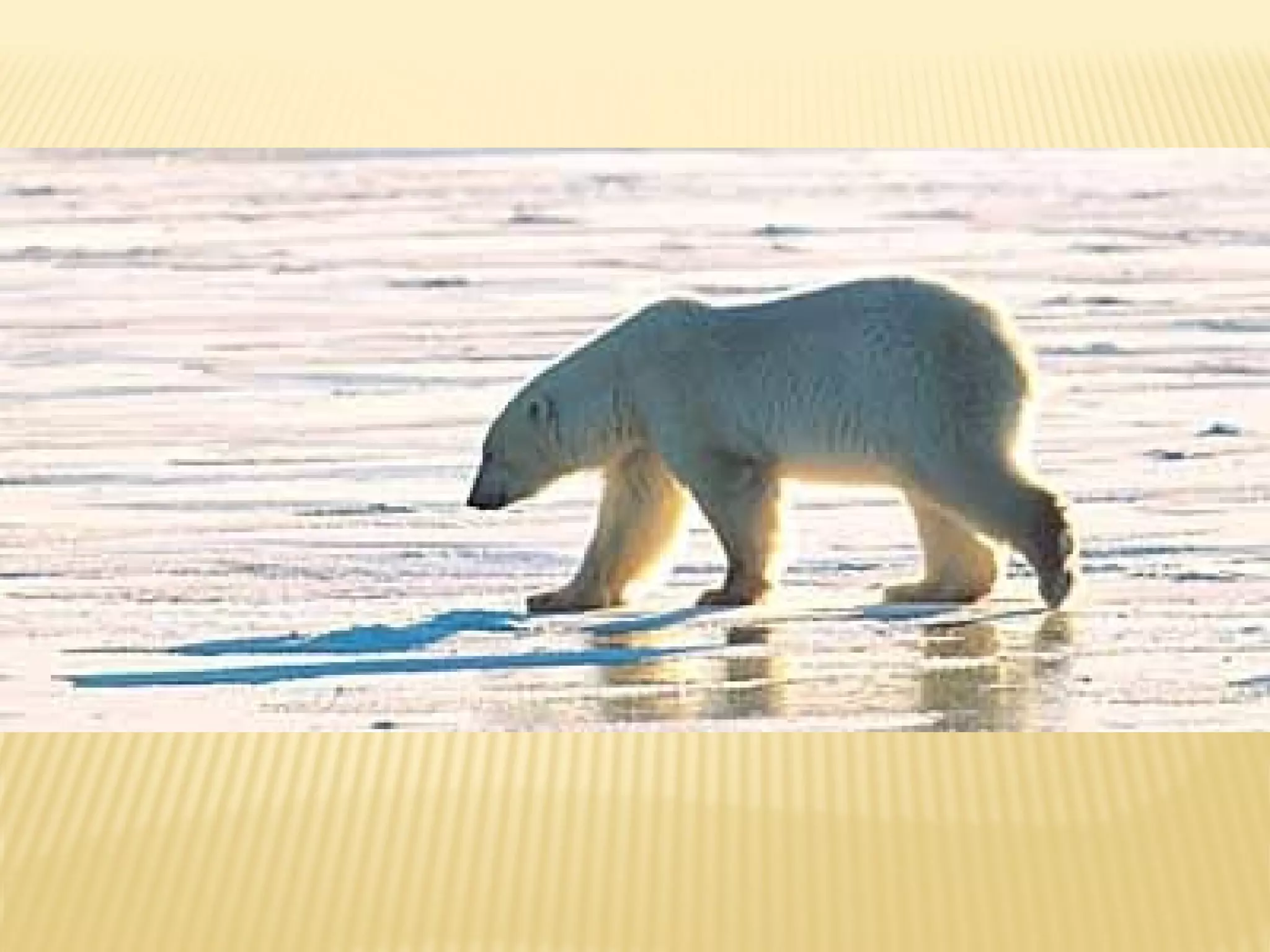 Glencoe Biology Chapter 1 Biology: The Study of Life | PPT ...