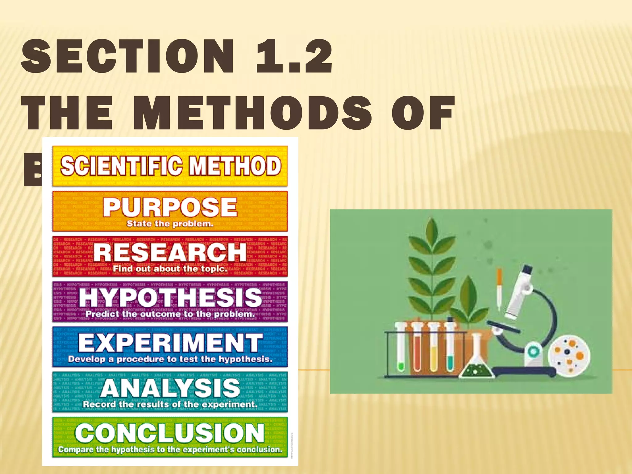 Glencoe Biology Chapter 1 Biology: The Study of Life | PPT ...