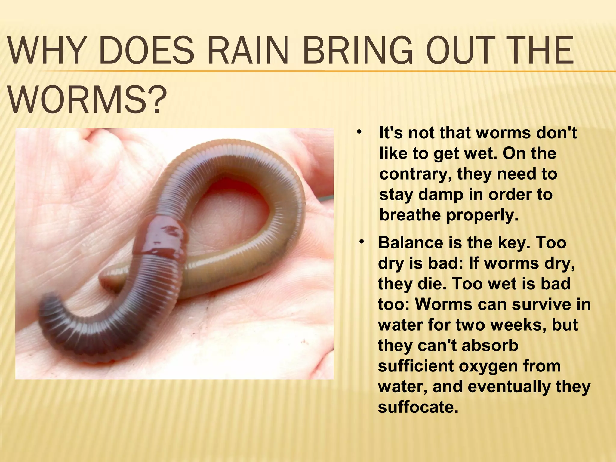 Glencoe Biology Chapter 1 Biology: The Study of Life | PPT ...