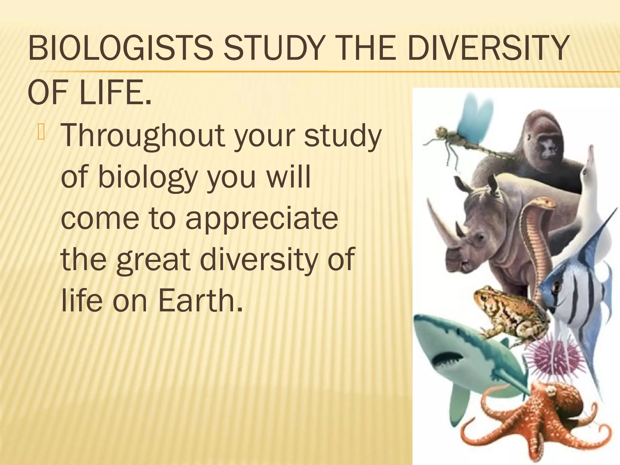 Glencoe Biology Chapter 1 Biology: The Study of Life | PPT ...