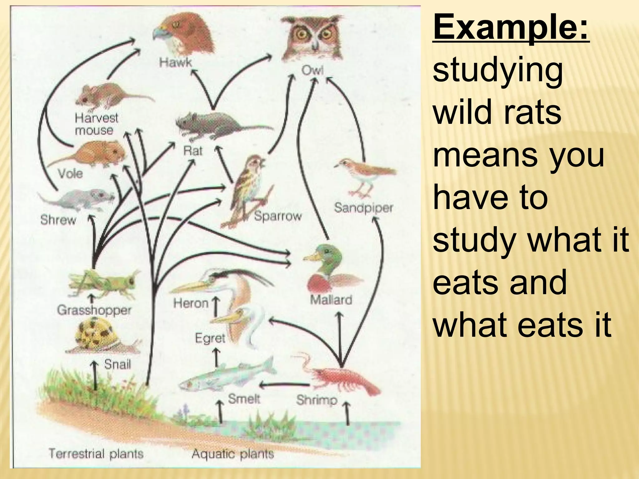 Glencoe Biology Chapter 1 Biology: The Study of Life | PPT
