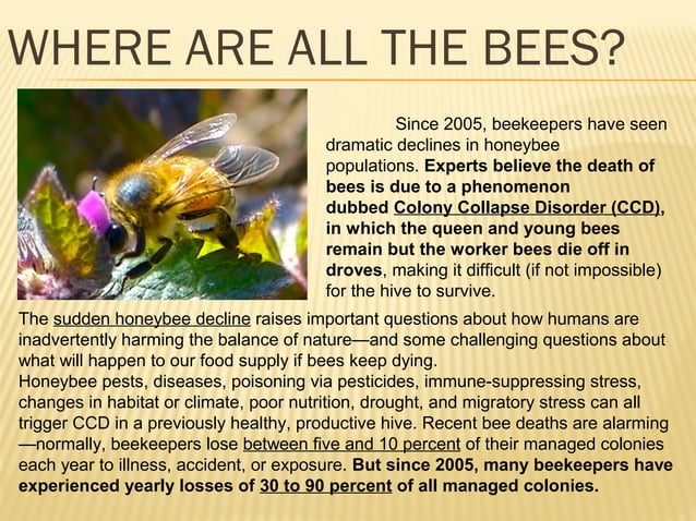 Glencoe Biology Chapter 1 Biology: The Study of Life | PPT ...