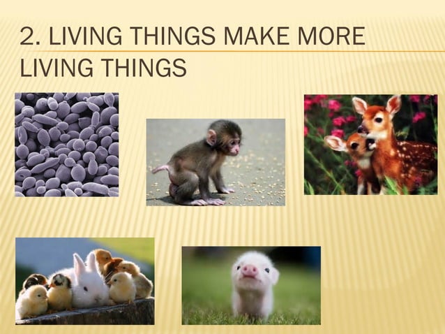 Glencoe Biology Chapter 1 Biology: The Study of Life | PPT ...