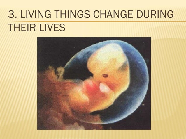 Glencoe Biology Chapter 1 Biology: The Study of Life | PPT ...