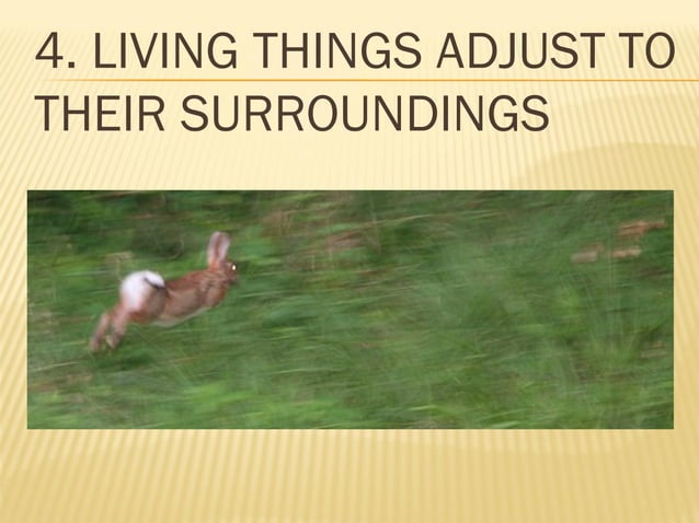 Glencoe Biology Chapter 1 Biology: The Study of Life | PPT ...