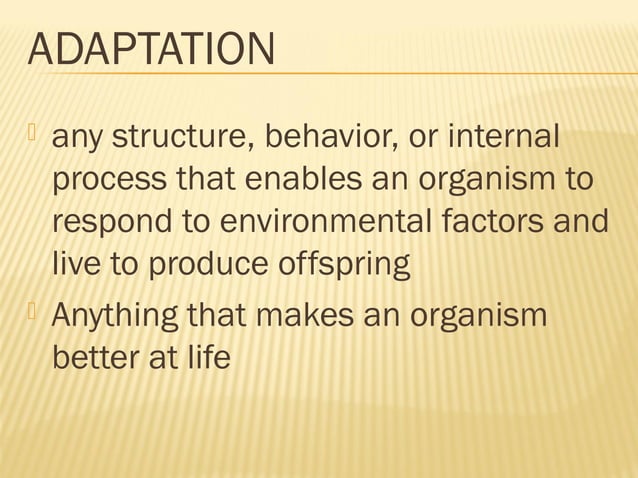 Glencoe Biology Chapter 1 Biology: The Study of Life | PPT ...