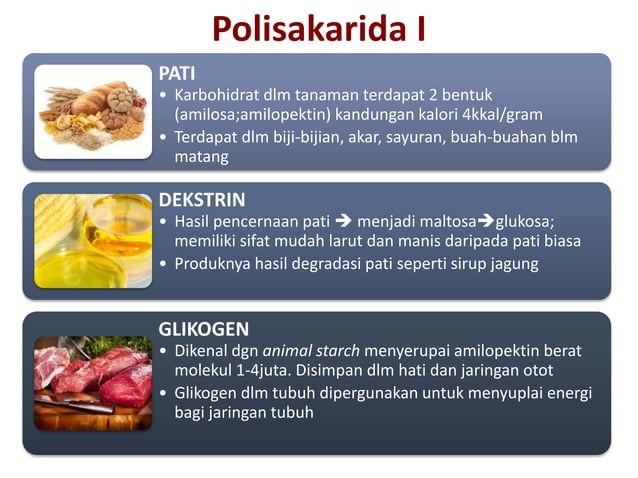 Chapter 1. karbohidrat | PPTX