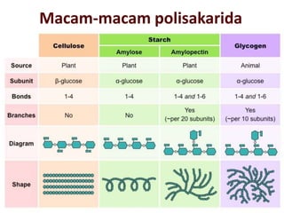 Chapter 1. karbohidrat | PPTX