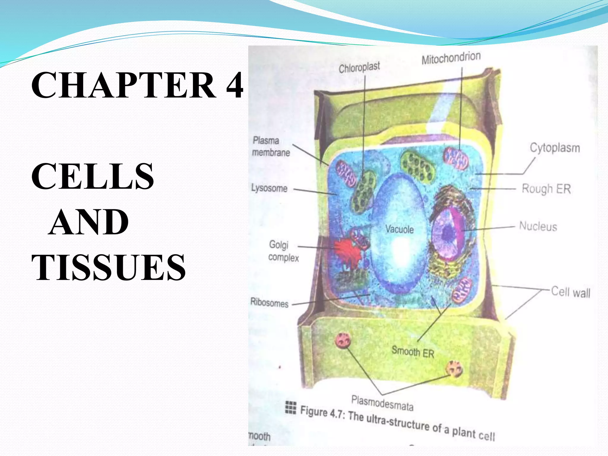 9TH Class Biology complete slides | PPTX