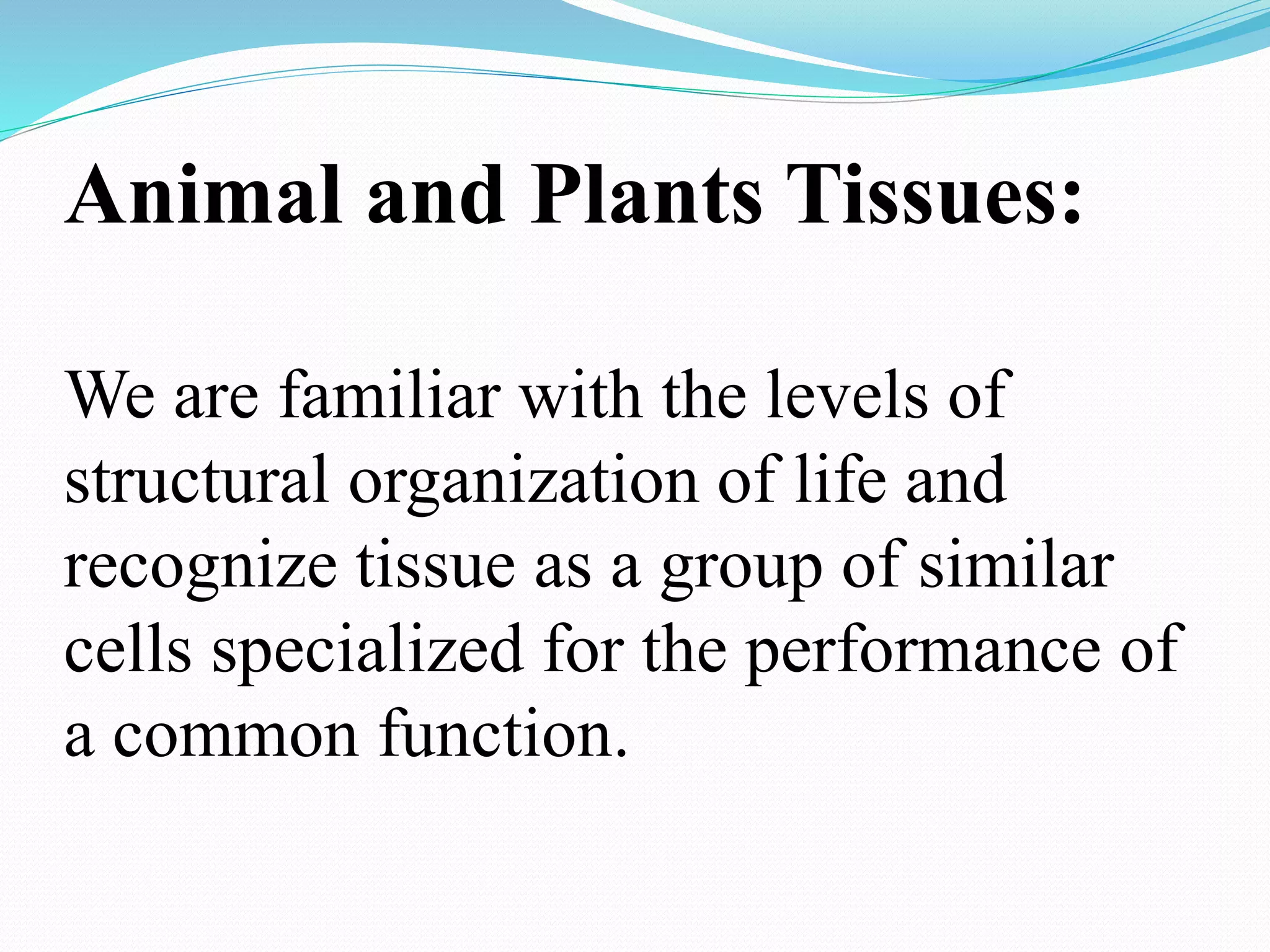 9TH Class Biology complete slides | PPTX