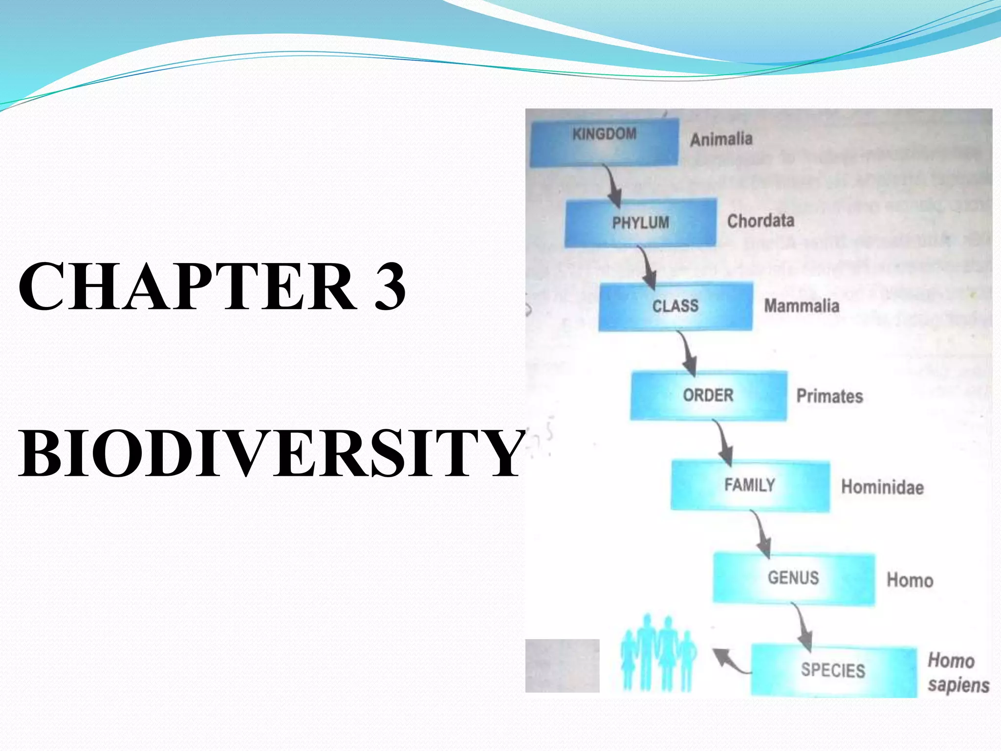 9TH Class Biology complete slides | PPTX
