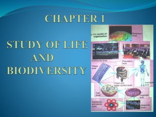 9TH Class Biology complete slides | PPTX