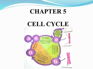 9TH Class Biology complete slides | PPTX