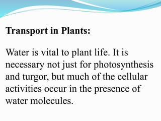 9TH Class Biology complete slides | PPTX