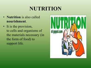 NUTRITION WITH MEAL MANAGEMENT | PPTX