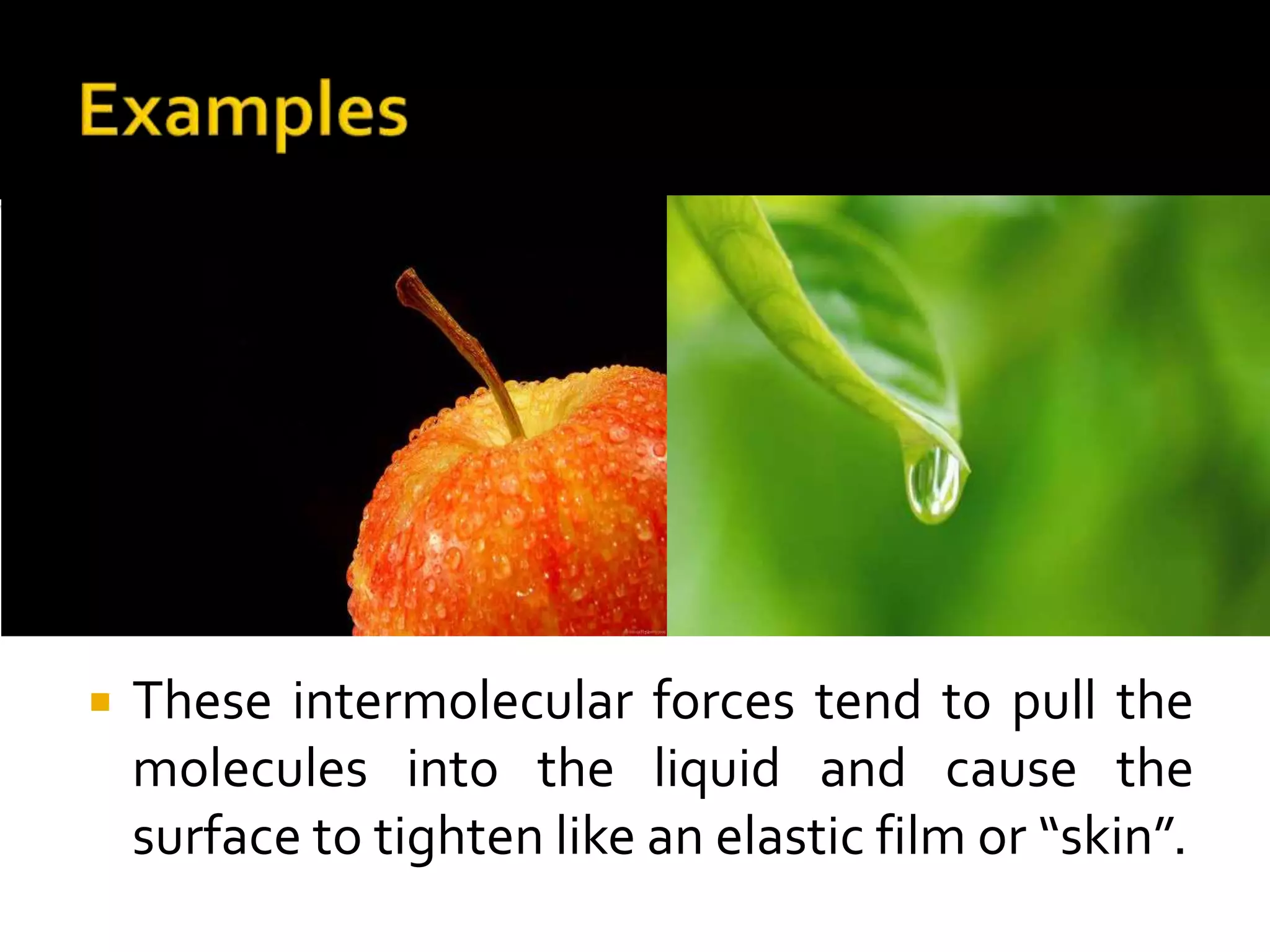 General Chemistry 2 - Chapter 1: The Kinetic Molecular Model and ...